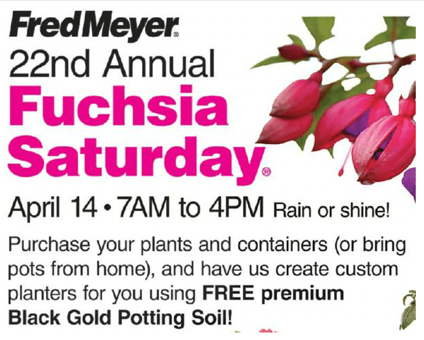 Fred Meyer - Fuchsia Event On Saturday (4/14)