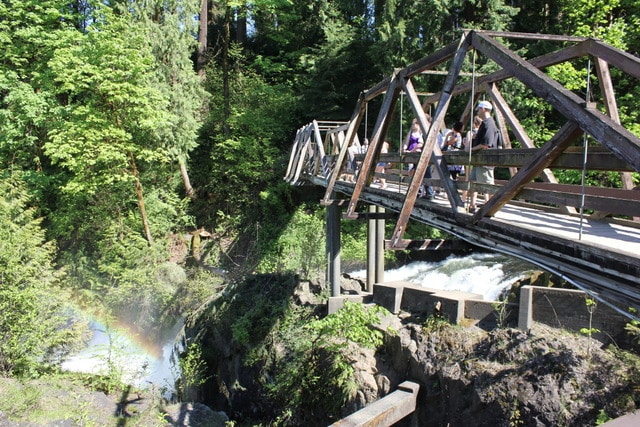 Best Places to See Salmon Migration in Seattle Area - Thrifty NW Mom