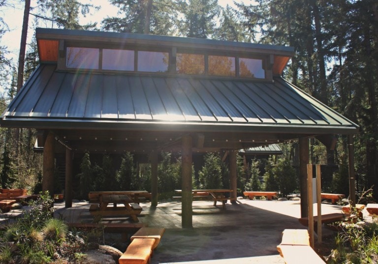 Kids Trek at Northwest Trek - a new nature themed playground!
