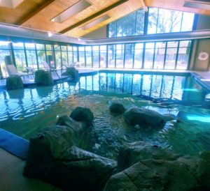 6 Washington Hotels With Great Indoor Pools (Staycation Ideas ...