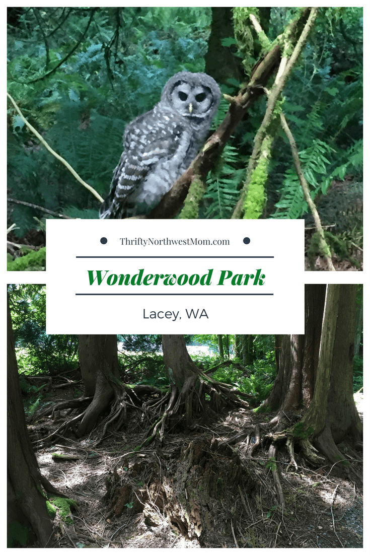 Wonderwood Park - Lacey, WA - Thrifty NW Mom