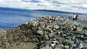 10 Unique Parks In Washington State to Visit! - Thrifty NW Mom