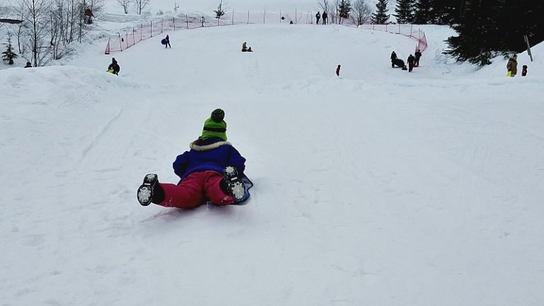 10+ Top Areas for Sledding and Snow Tubing in Washington for Families ...