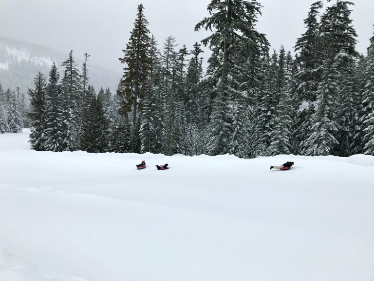 10+ Top Areas for Sledding and Snow Tubing in Washington for Families ...