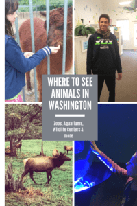 Zoos in Washington & Aquariums - Where To See Animals (Petting Zoos ...