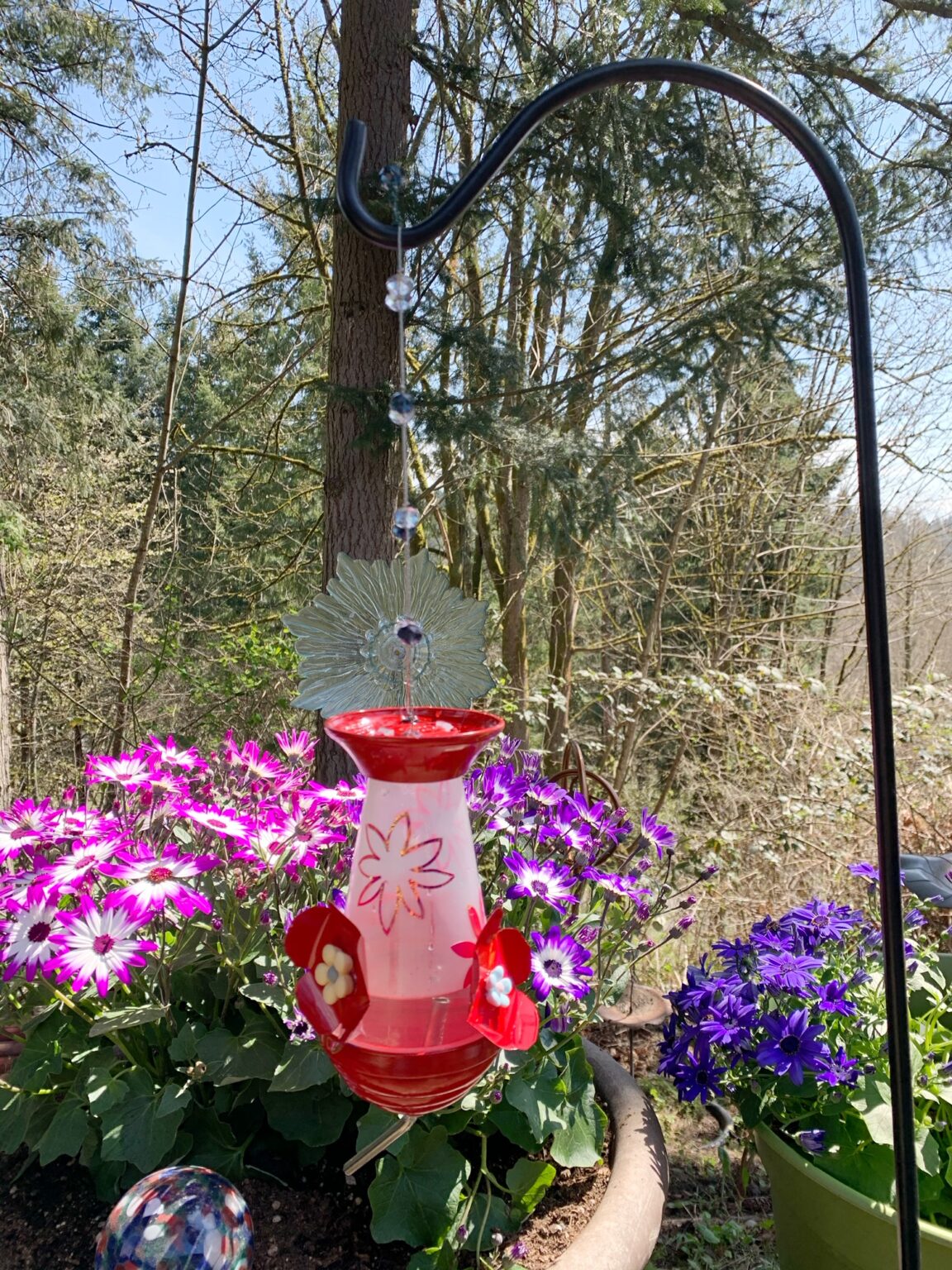 Homemade Hummingbird Feeder (With Items You May Have At Home ...