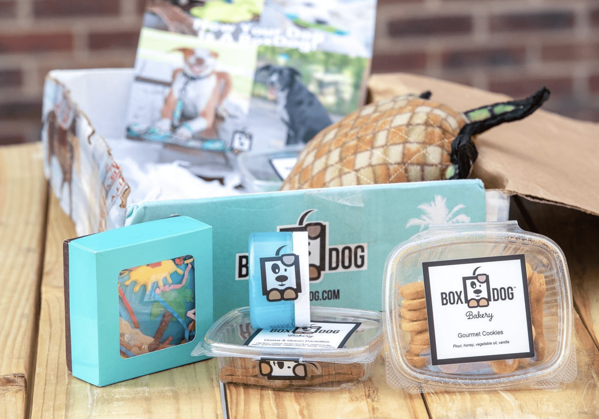 Box Dog Subscription Box - Free Dog Bed with Your First Dog Box ...