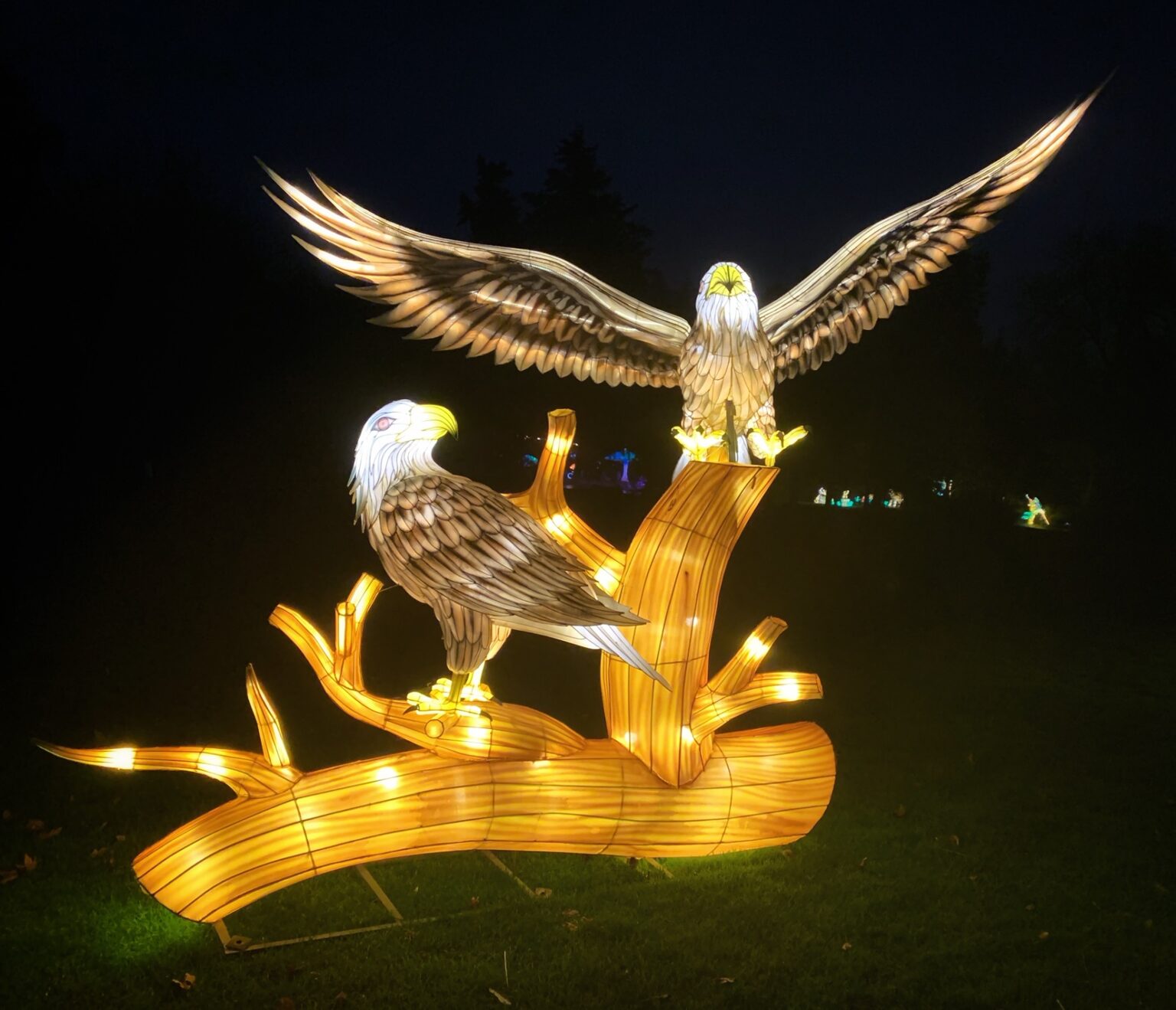 WildLanterns at the Woodland Park Zoo - What You Need To Know Before ...