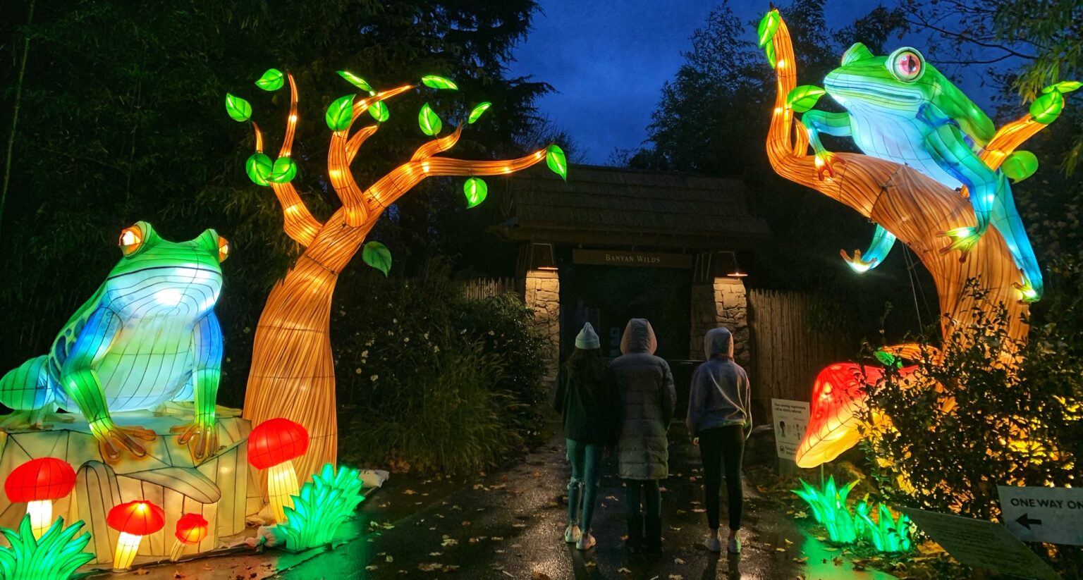 WildLanterns at the Woodland Park Zoo - What You Need To Know Before ...