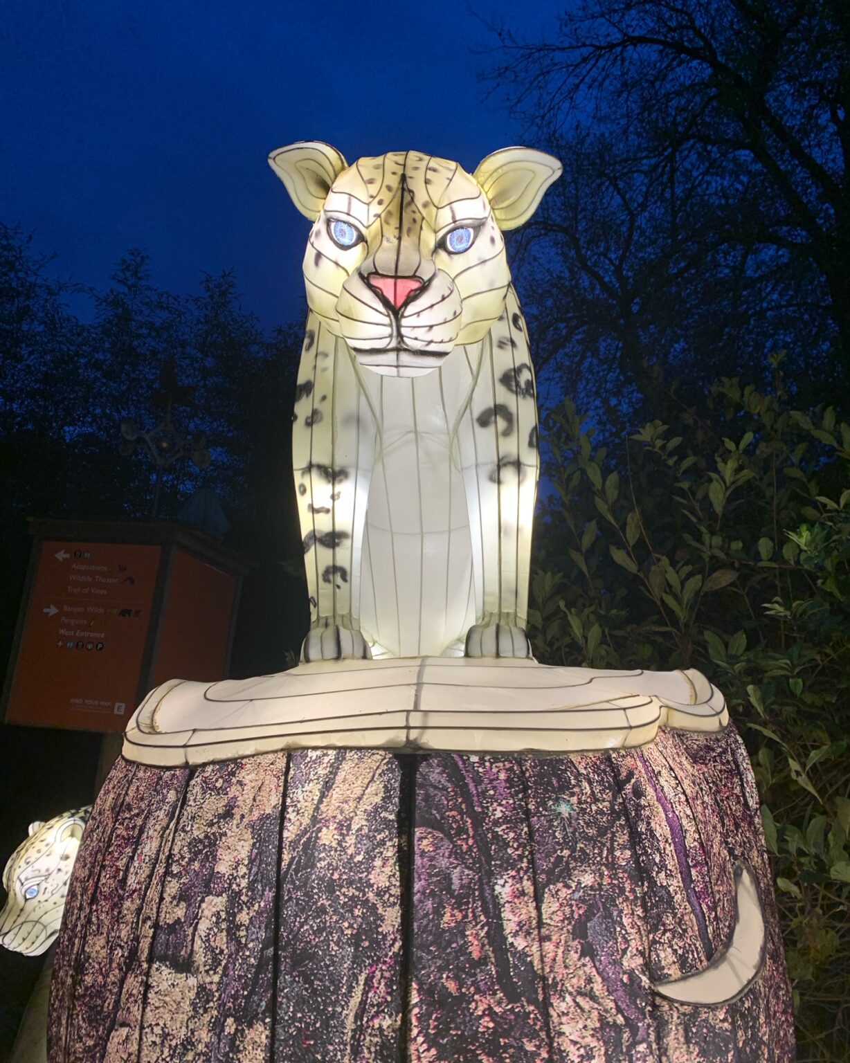 WildLanterns at the Woodland Park Zoo - What You Need To Know Before ...