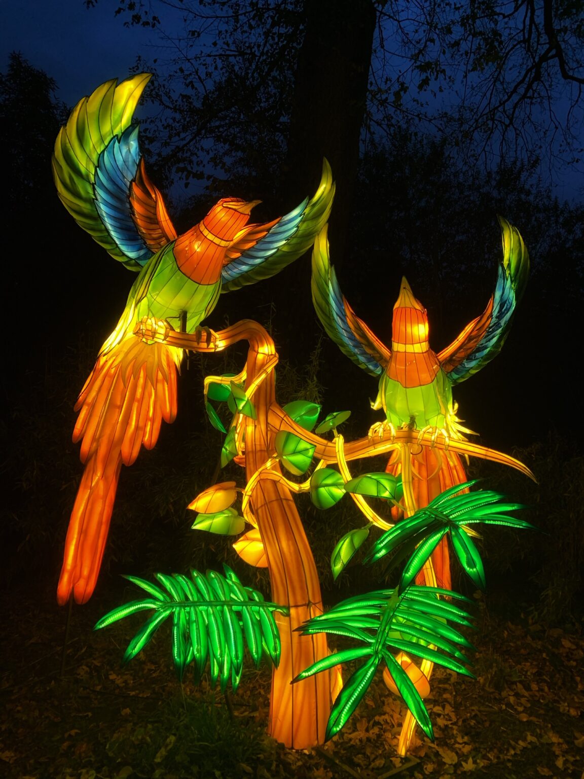 WildLanterns at the Woodland Park Zoo - What You Need To Know Before ...