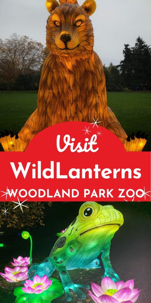 WildLanterns at the Woodland Park Zoo - What You Need To Know Before ...