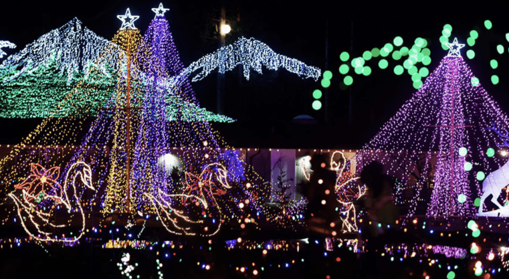 Pacific Northwest Christmas Events for 2020 - Drive Thru Lights, Drive ...