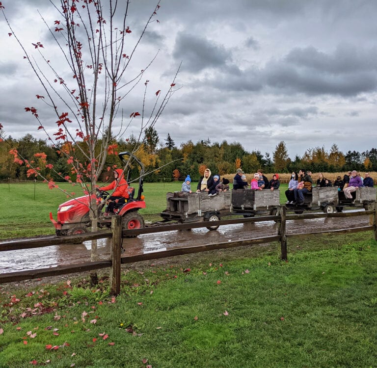 8 Fall Activities around Whatcom County for Families! - Thrifty NW Mom