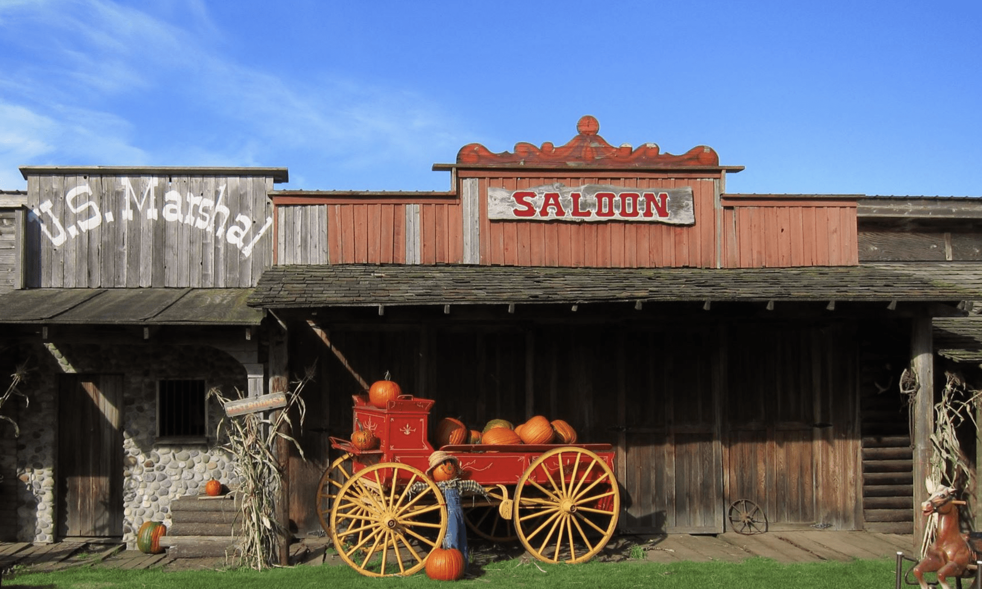 8 Fall Activities around Whatcom County for Families! - Thrifty NW Mom