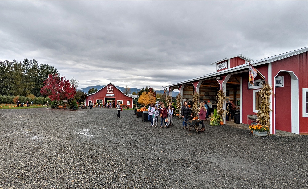 8 Fall Activities around Whatcom County for Families! - Thrifty NW Mom