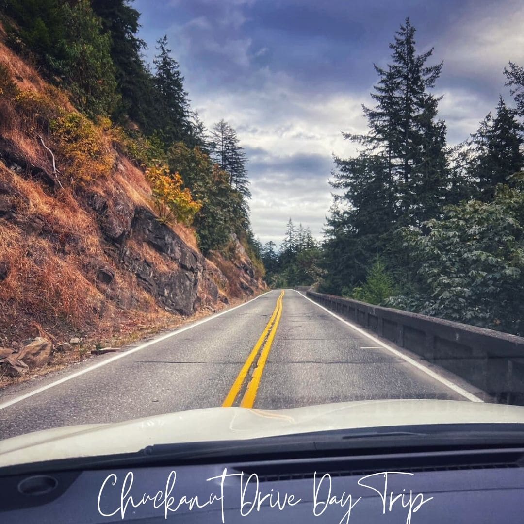 Chuckanut Drive Day Trip: Where To Eat, What To See & More! - Thrifty ...
