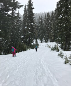 Snowshoeing Near Me - 12 Washington Snowshoe Hikes for Families ...