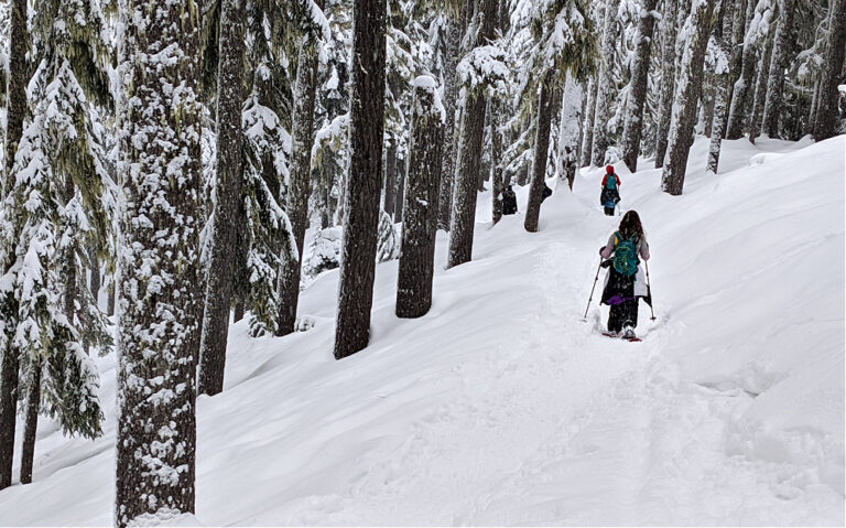 Snowshoeing Near Me - 12 Washington Snowshoe Hikes for Families ...