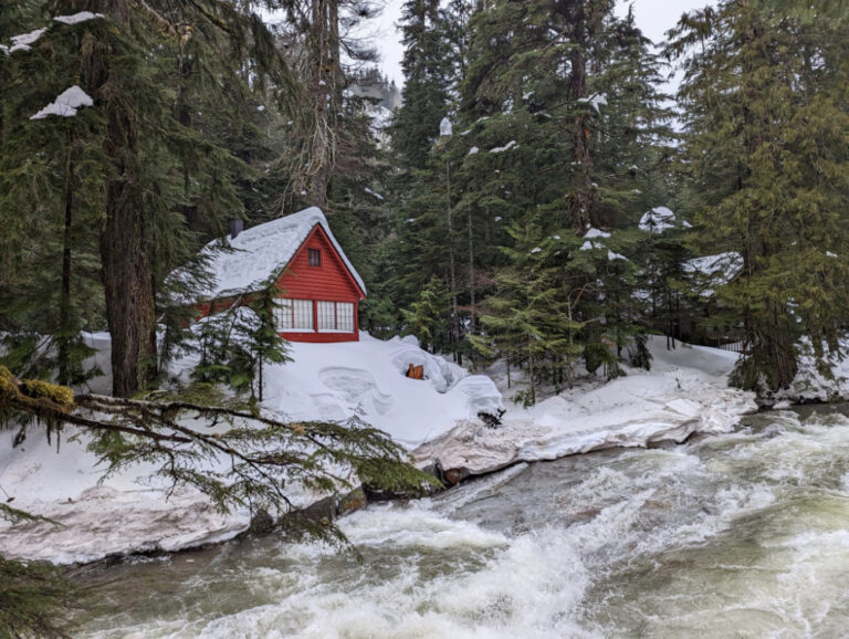 Snowshoeing Near Me - 12 Washington Snowshoe Hikes for Families ...