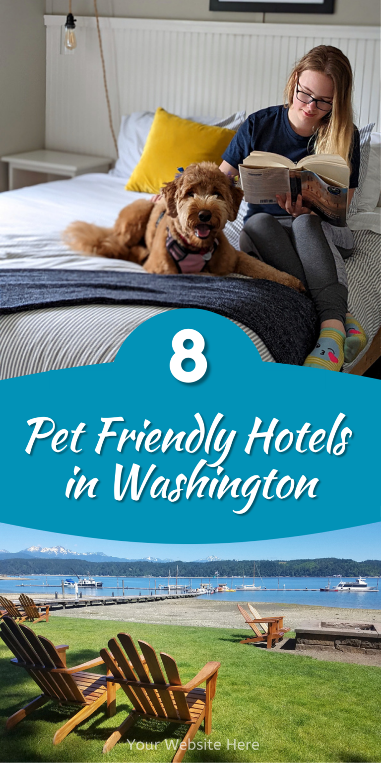 8 Pet Friendly Hotels Near Me in Washington Thrifty NW Mom