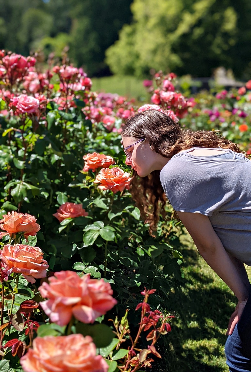 10 Valentine Ideas at a Discount around the PNW - Thrifty NW Mom