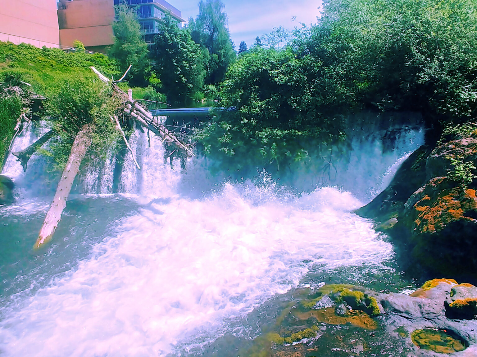 Road Tripping Between Seattle & Portland - 8 Stops To Turn Your Drive ...